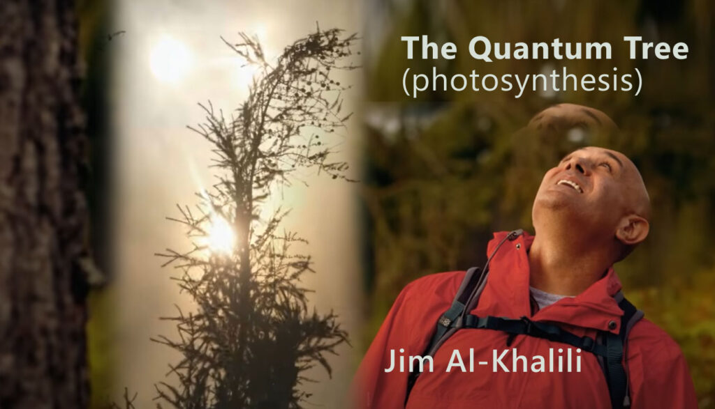 Photosynthesis - The quantum tree | Jim al-Khaili - Europa.is